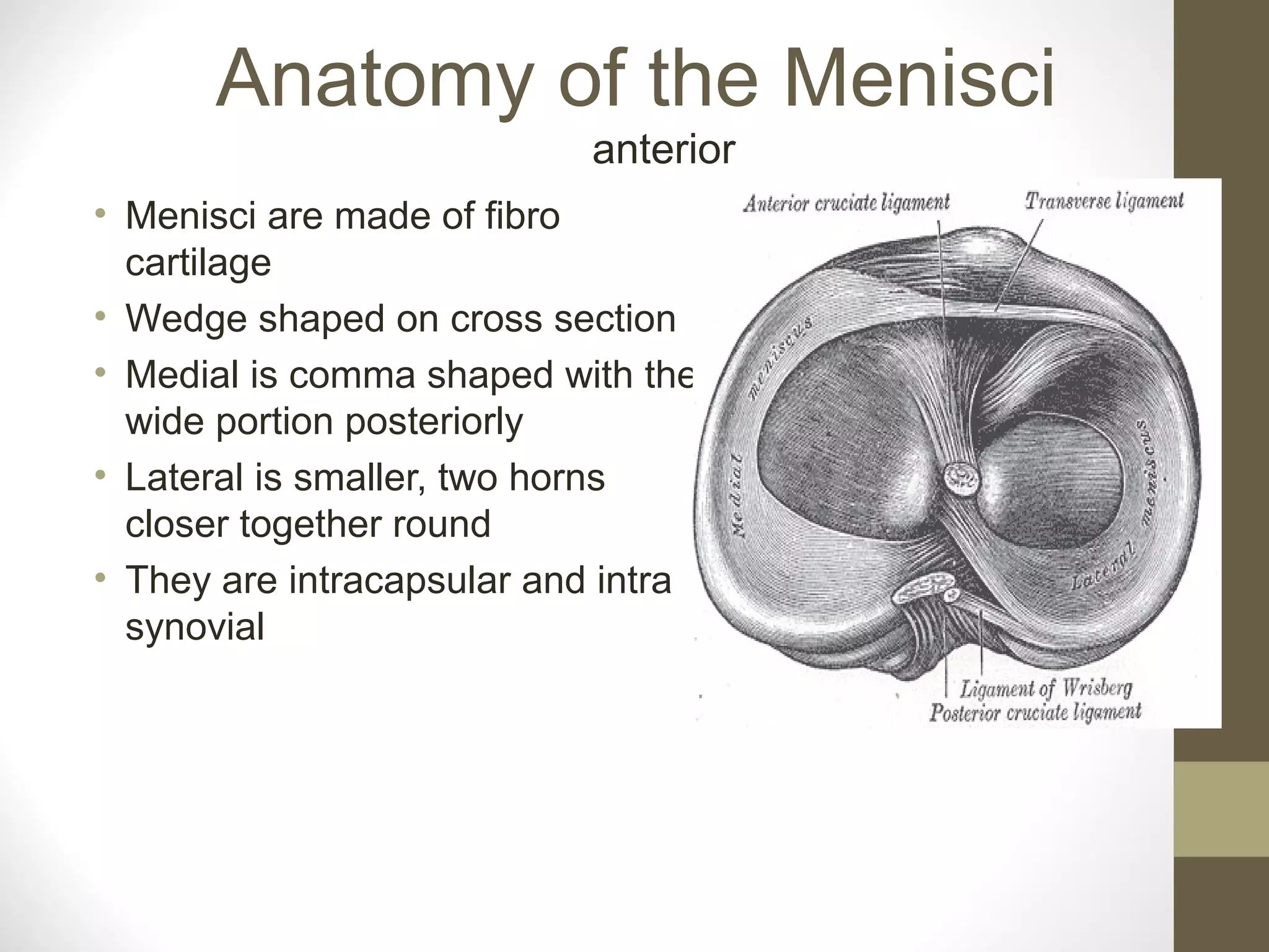 Anatomy of anterior_cruciate_ligament_by- dr. armaan singh | PPT