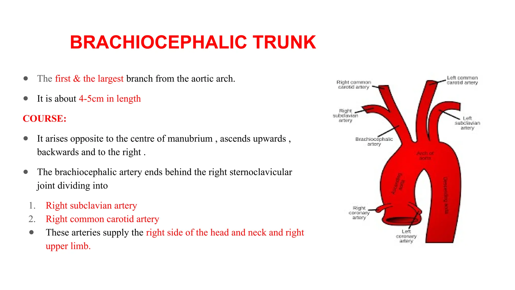 Anatomy of Aorta and its Divisions with its applied anatomy | PPTX