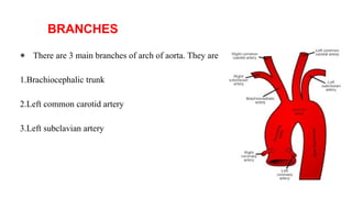 Anatomy of Aorta and its Divisions with its applied anatomy | PPTX