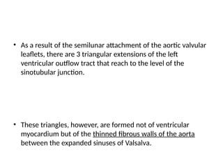 Anatomy Of Aortic Valve- Dr Garv Ameta.pptx