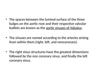 Anatomy Of Aortic Valve- Dr Garv Ameta.pptx