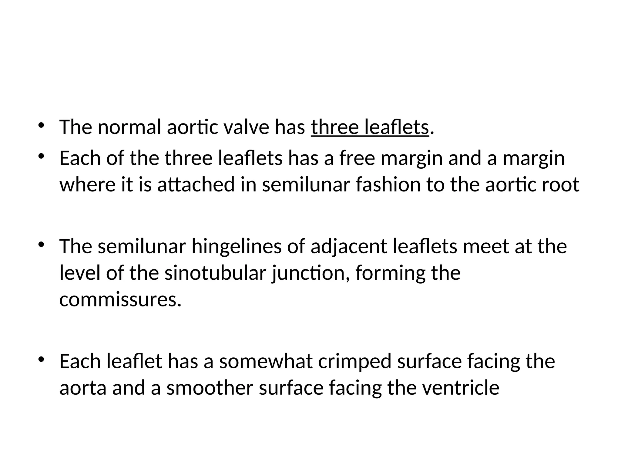 Anatomy Of Aortic Valve- Dr Garv Ameta (1).pptx