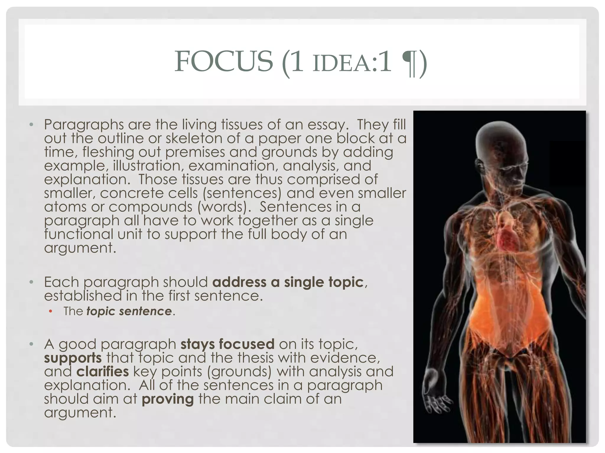Anatomy of a paragraph | PPTX