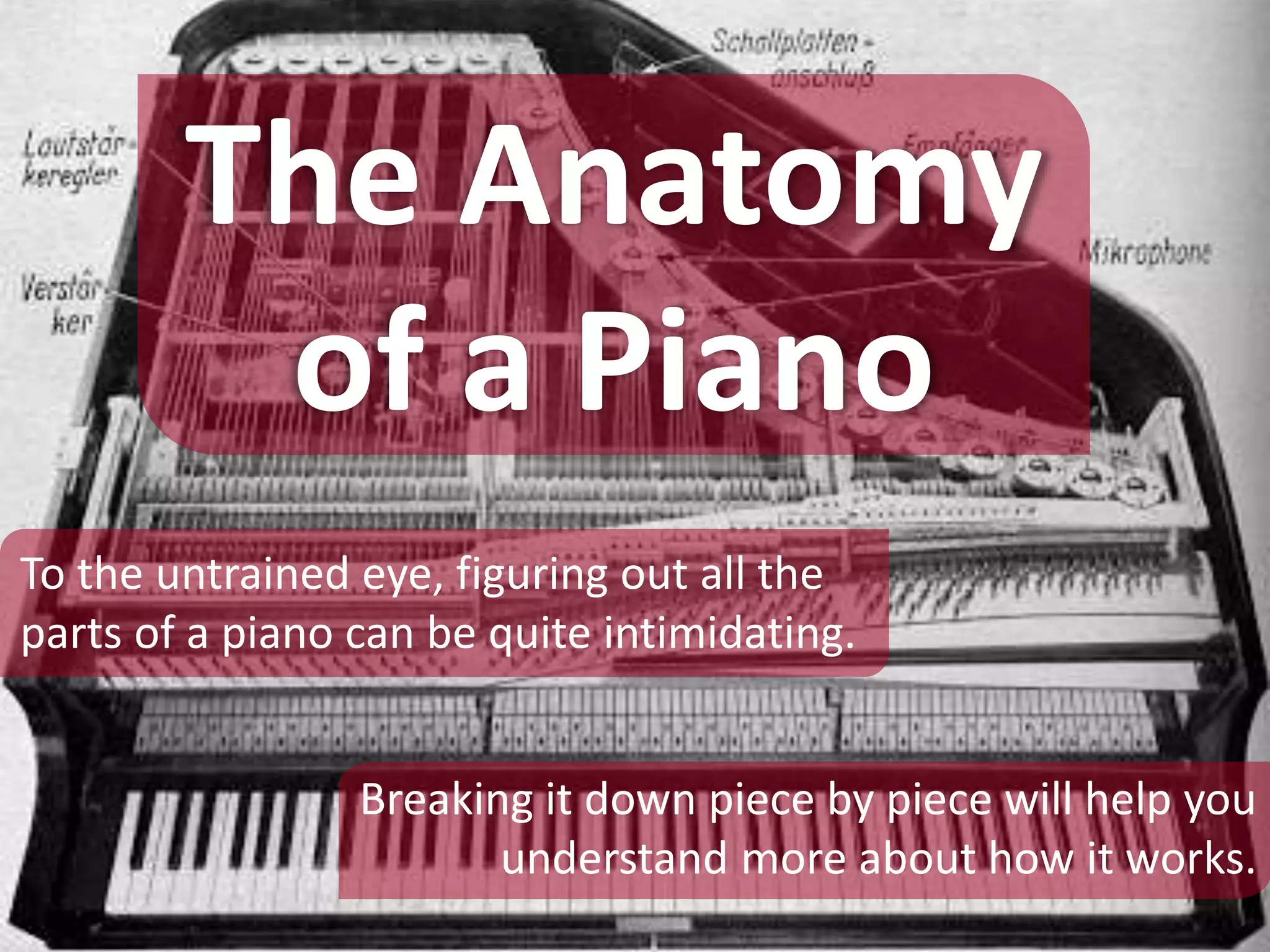The Anatomy of a piano | PPTX