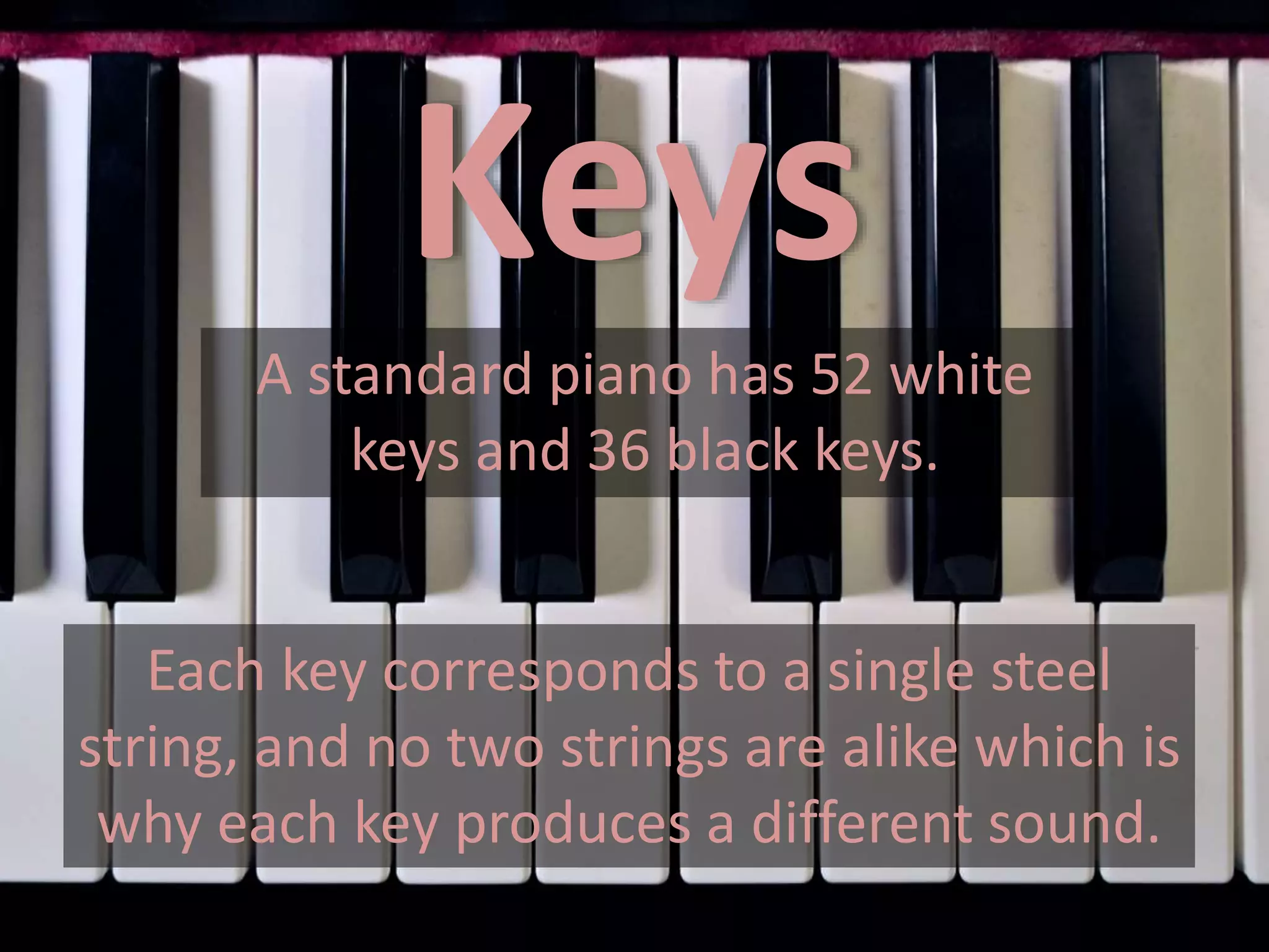 The Anatomy of a piano | PPTX