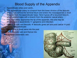 Anatomy of appendix | PPT