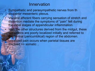 Anatomy of appendix | PPT