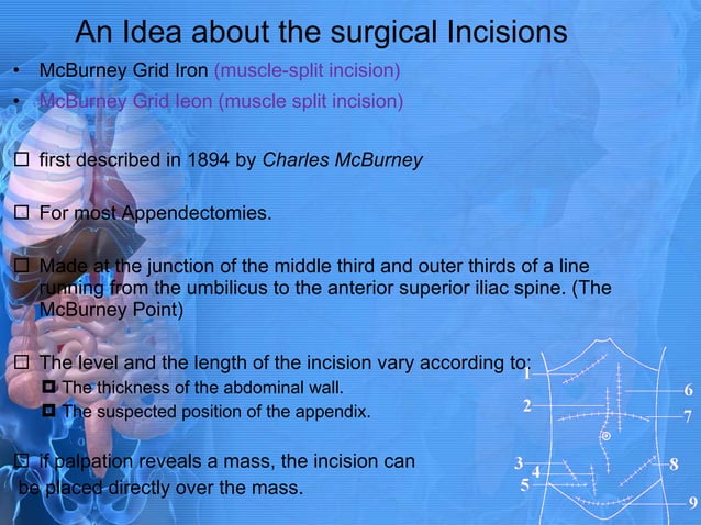 Anatomy of appendix | PPT | Digestive Disorders | Diseases and Conditions