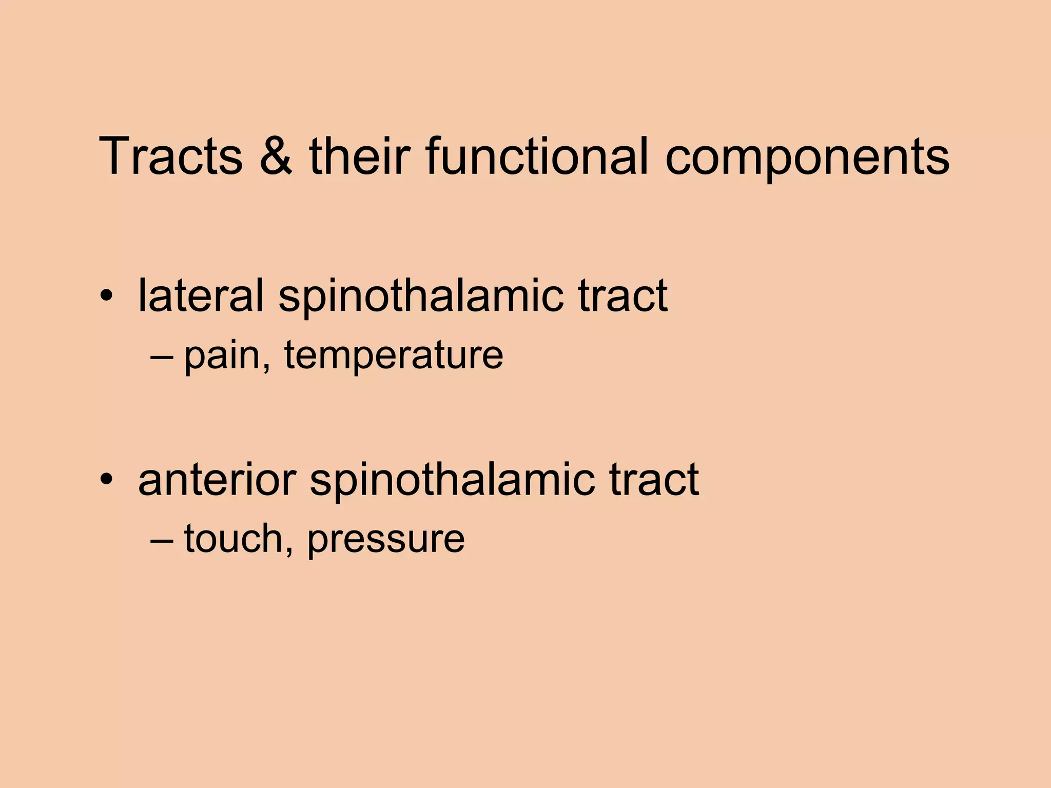 Anatomy of ascending and descending tracts | PPT