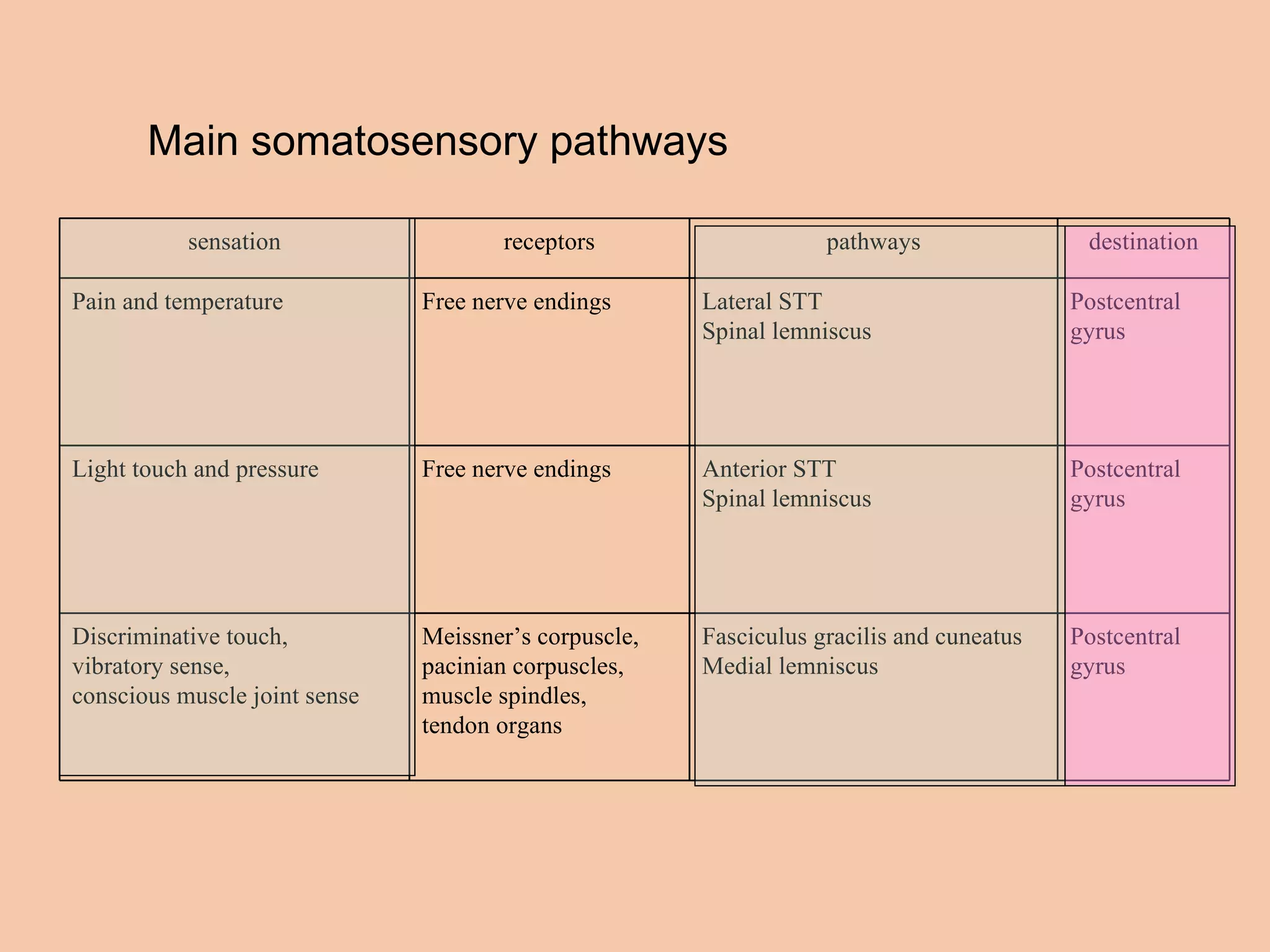 Anatomy of ascending and descending tracts | PPT