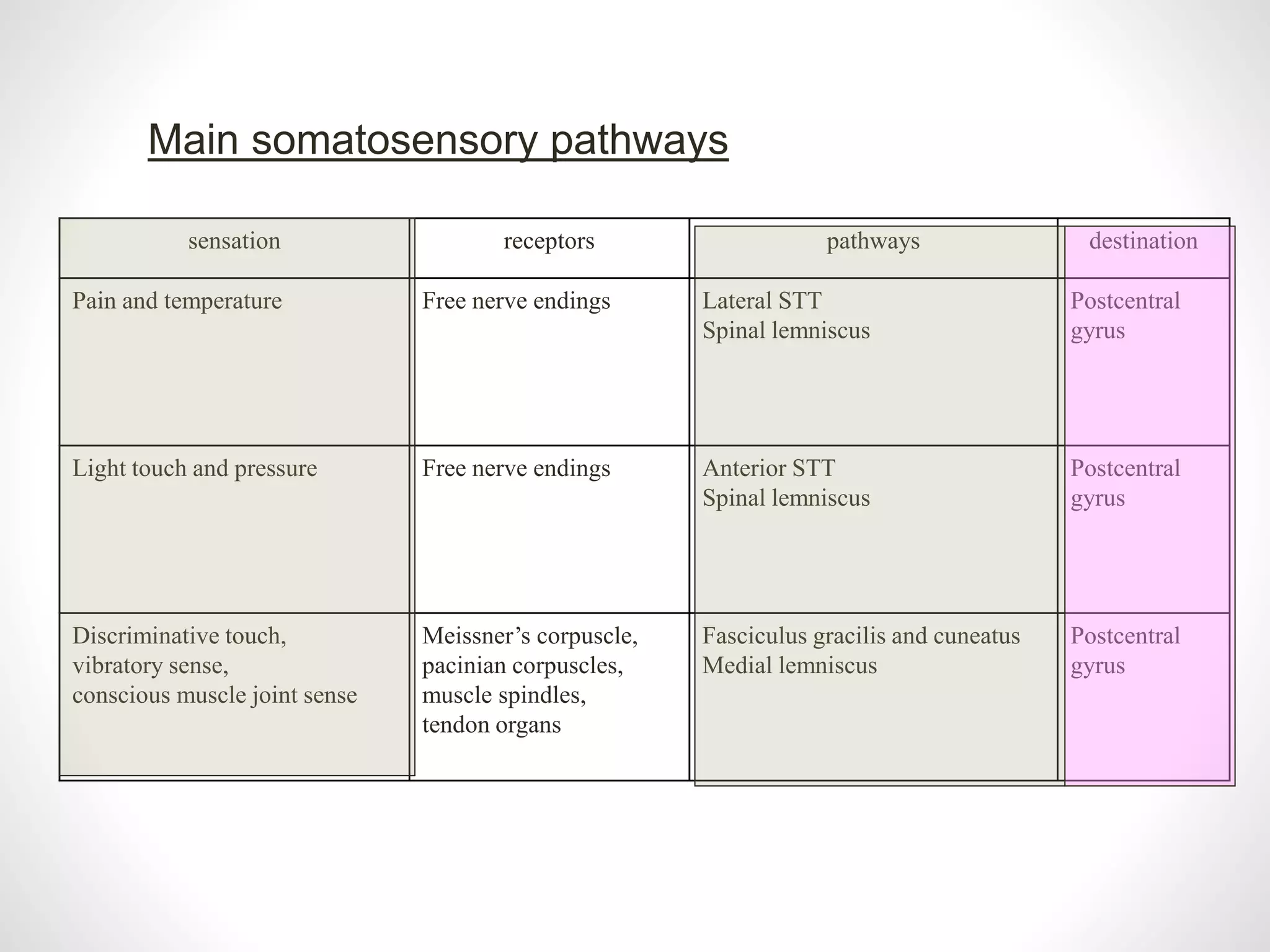 Anatomy of ascending and descending tracts | PPTX