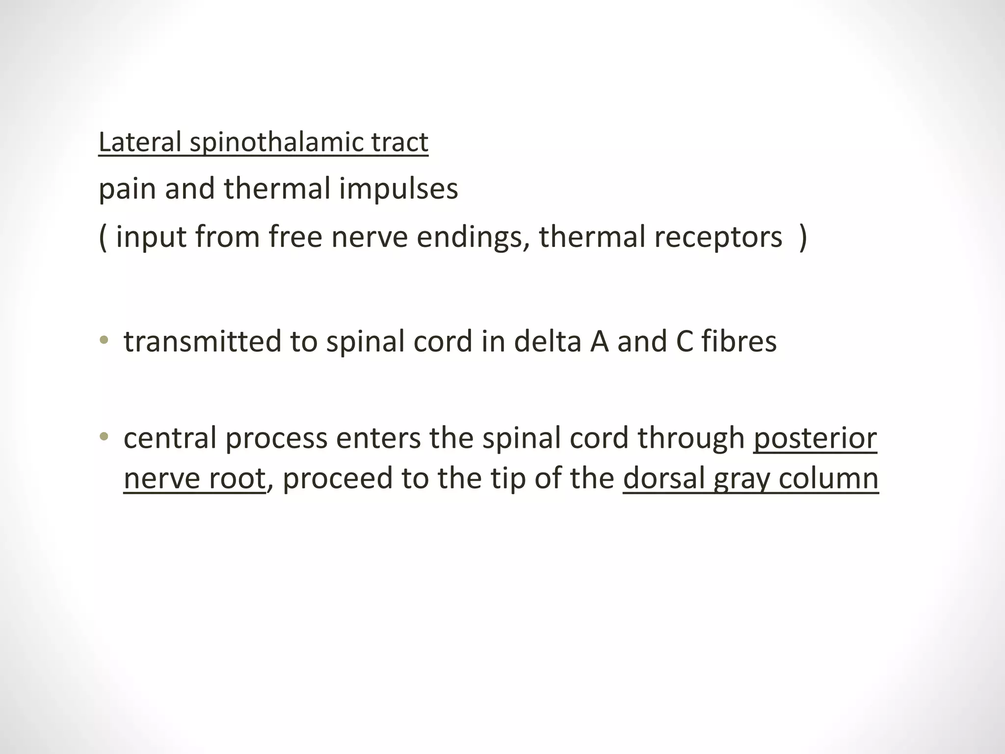 Anatomy of ascending and descending tracts | PPTX
