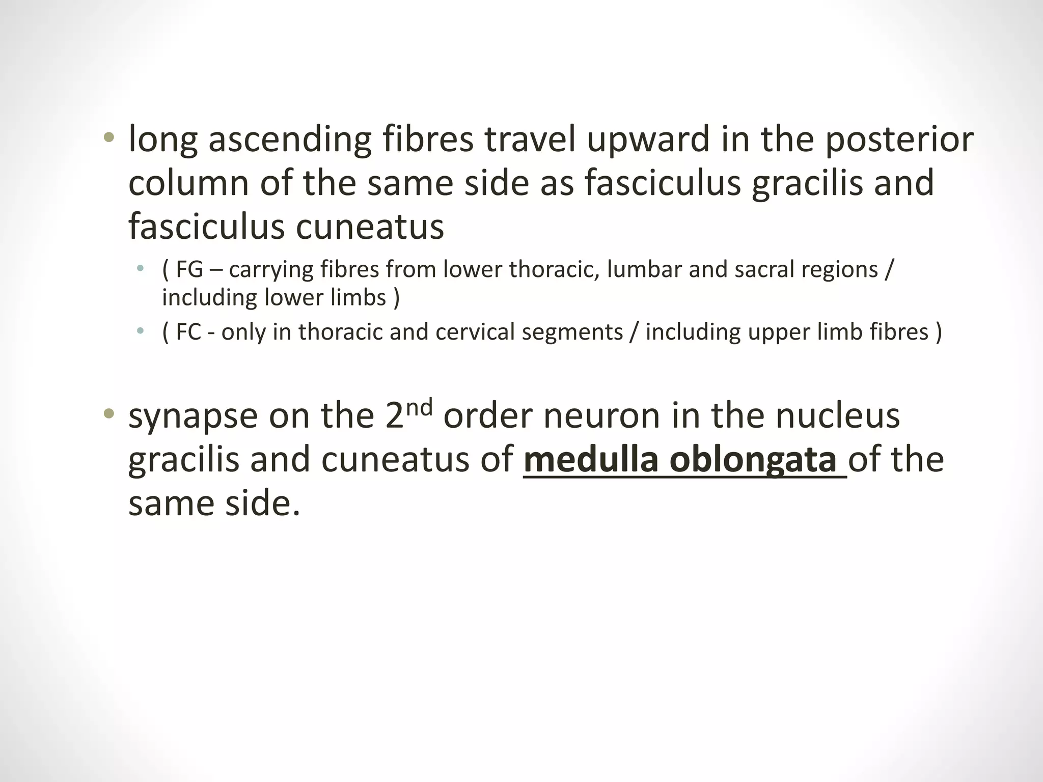 Anatomy of ascending and descending tracts | PPTX
