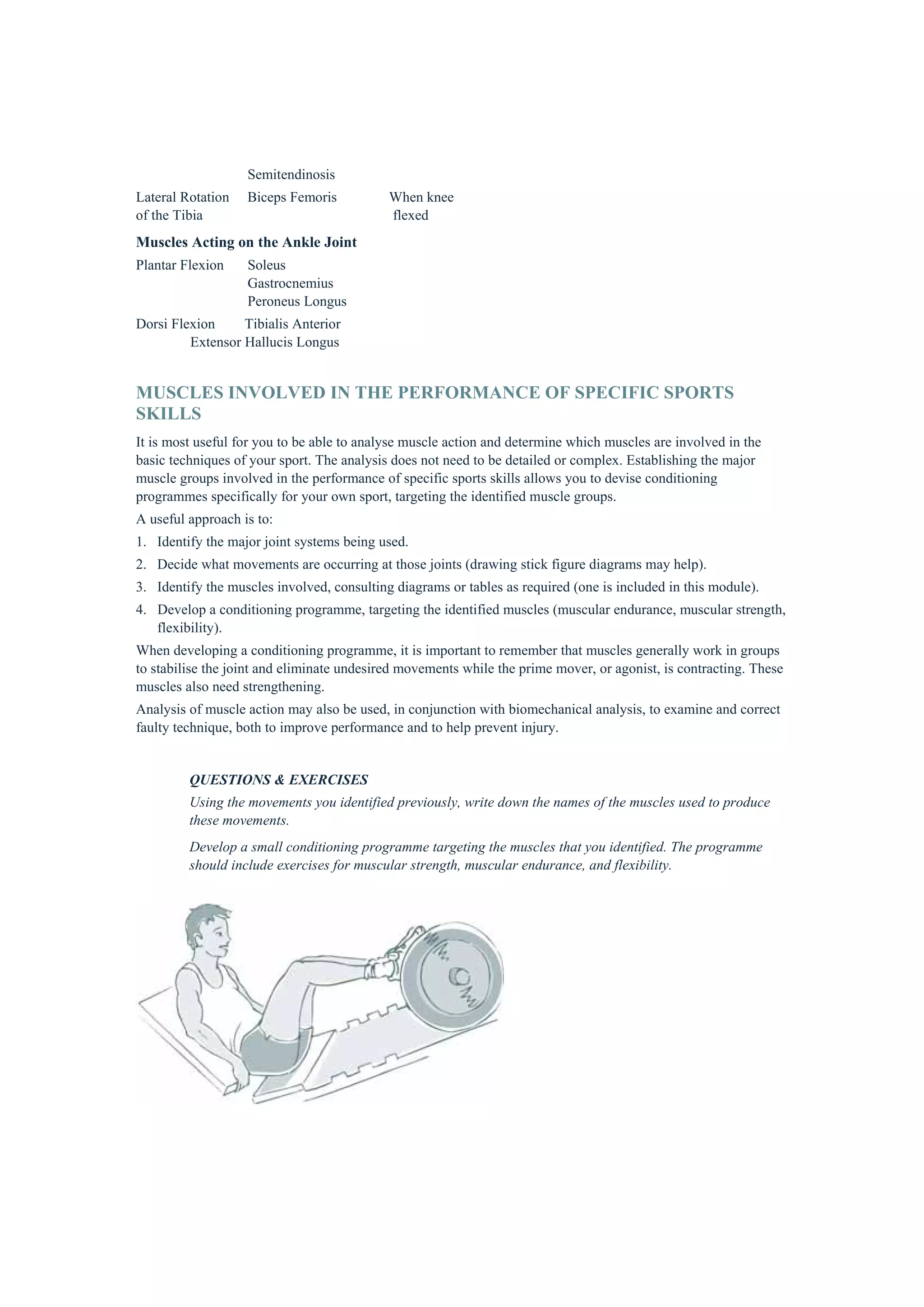 Anatomy of athlete | PDF