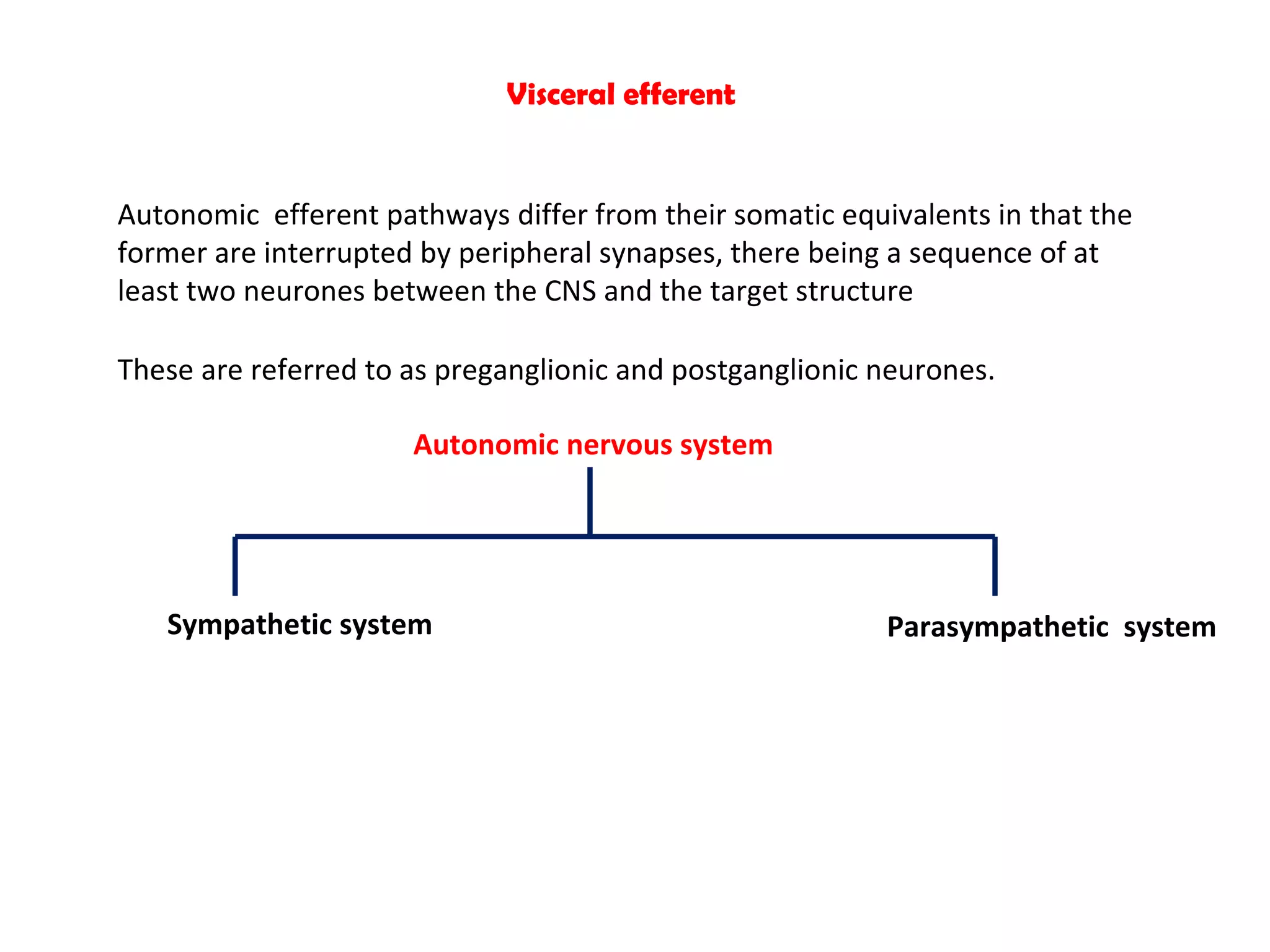 Anatomy of autonomic nervous system | PPT