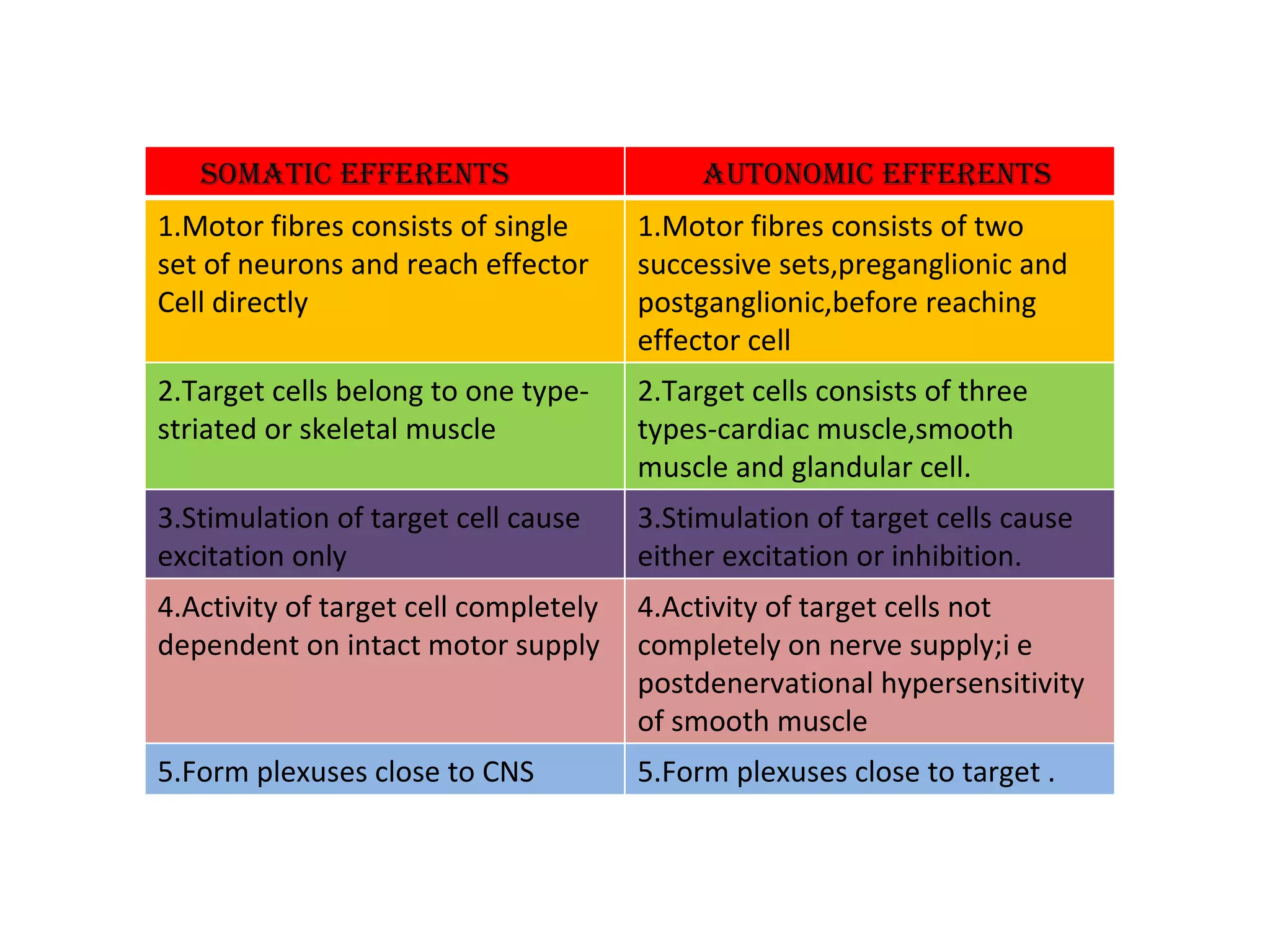 Anatomy of autonomic nervous system | PPT