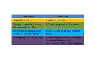 Anatomy of autonomic nervous system | PPT