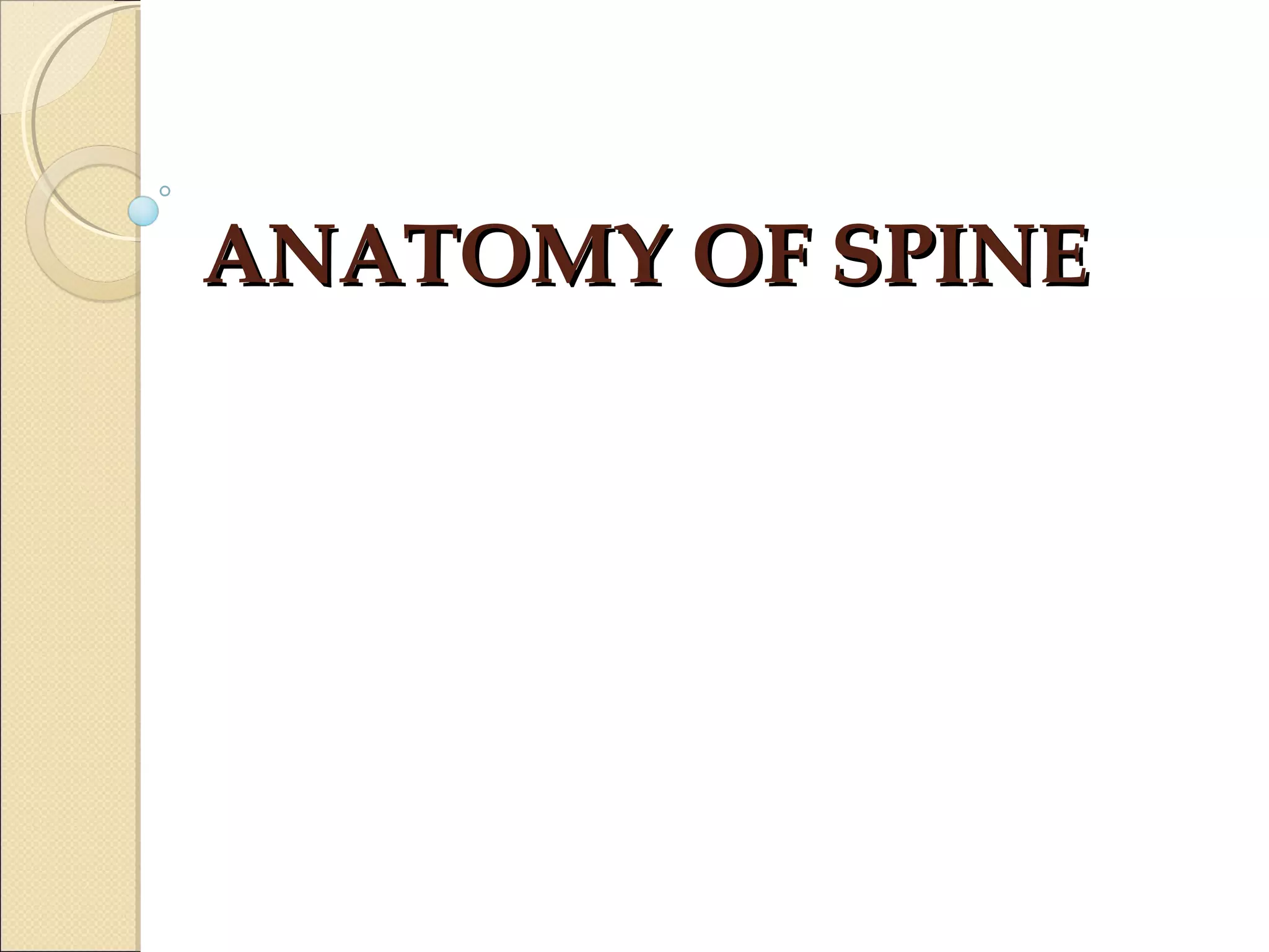 Anatomy of back | PPT