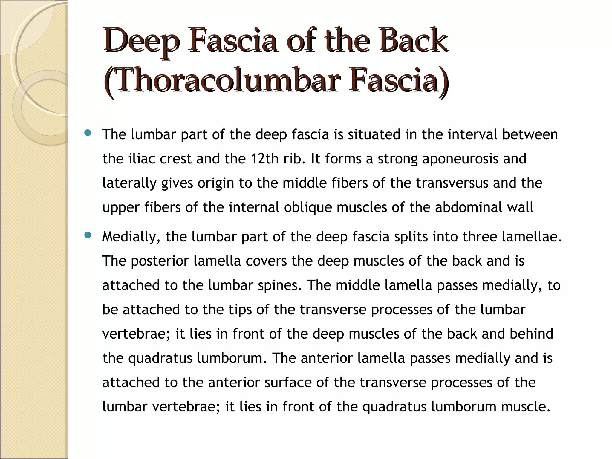 Anatomy of back | PPT