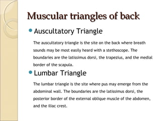 Anatomy of back | PPT