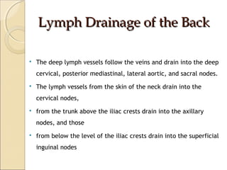 Anatomy of back | PPT