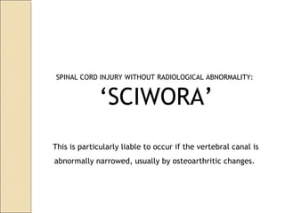 Anatomy of back | PPT