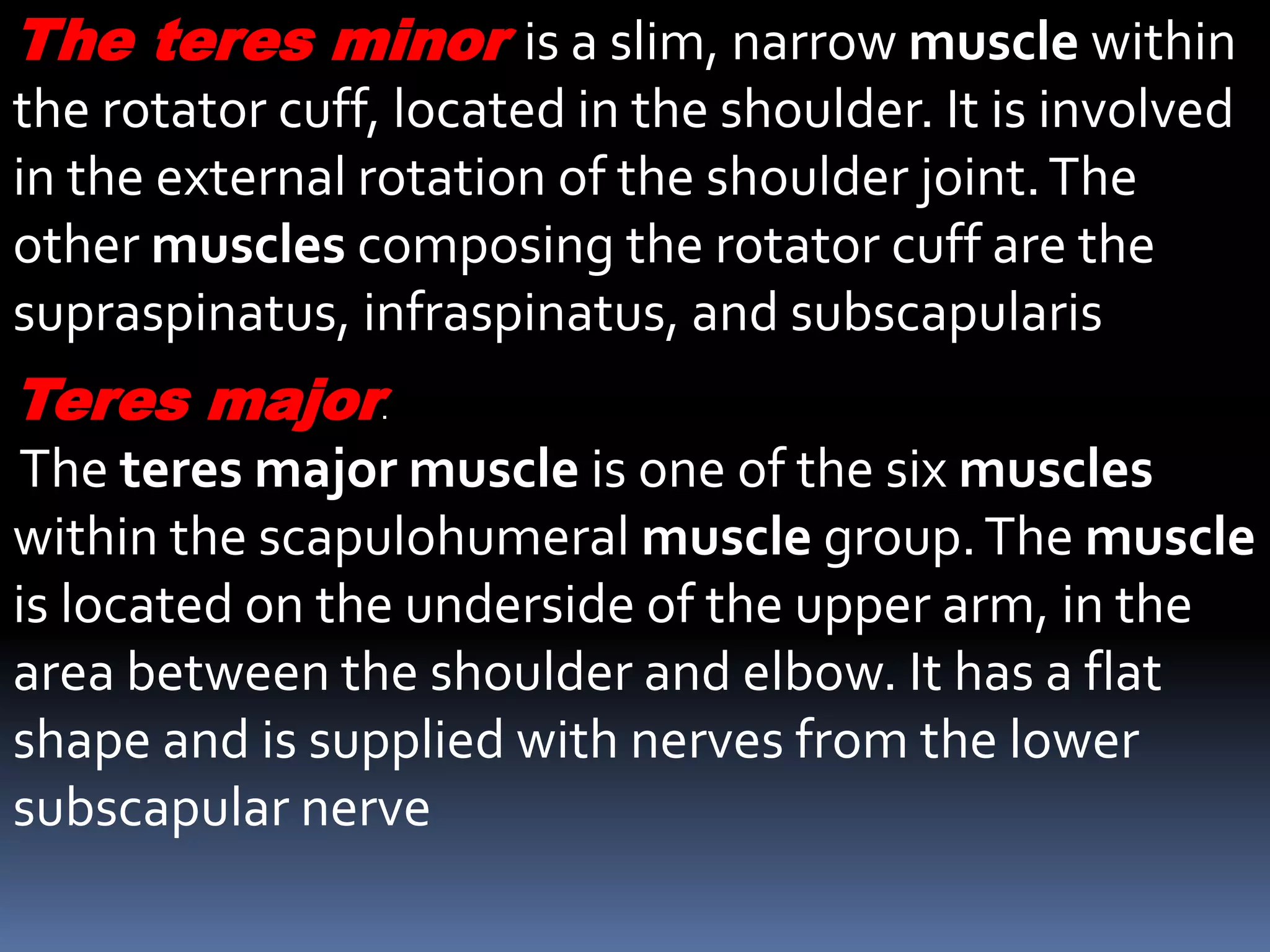Anatomy of back muscle | PPTX
