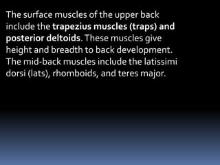 Anatomy of back muscle | PPTX
