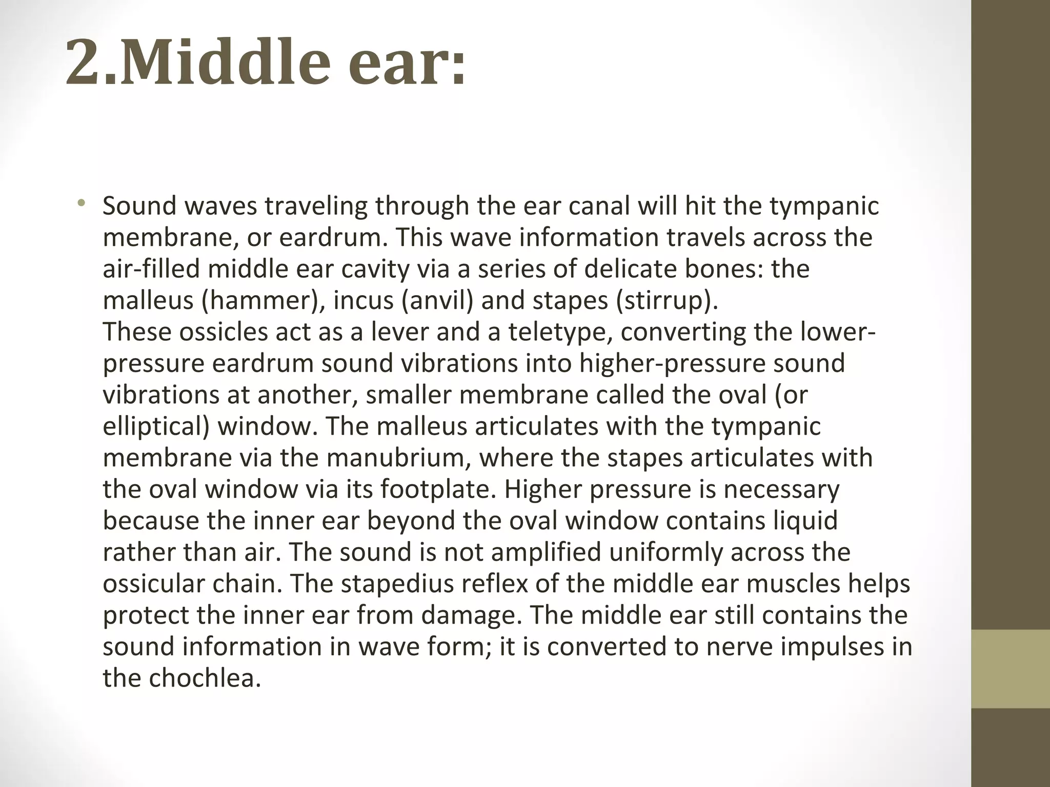 Anatomy of baep by shexad | PPT