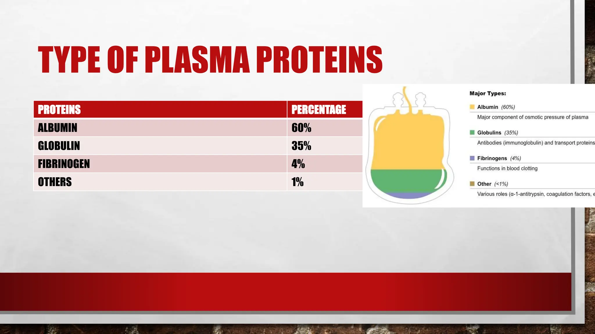 ANATOMY OF BLOOD- RBCs, WBCs & Platelet | PPT
