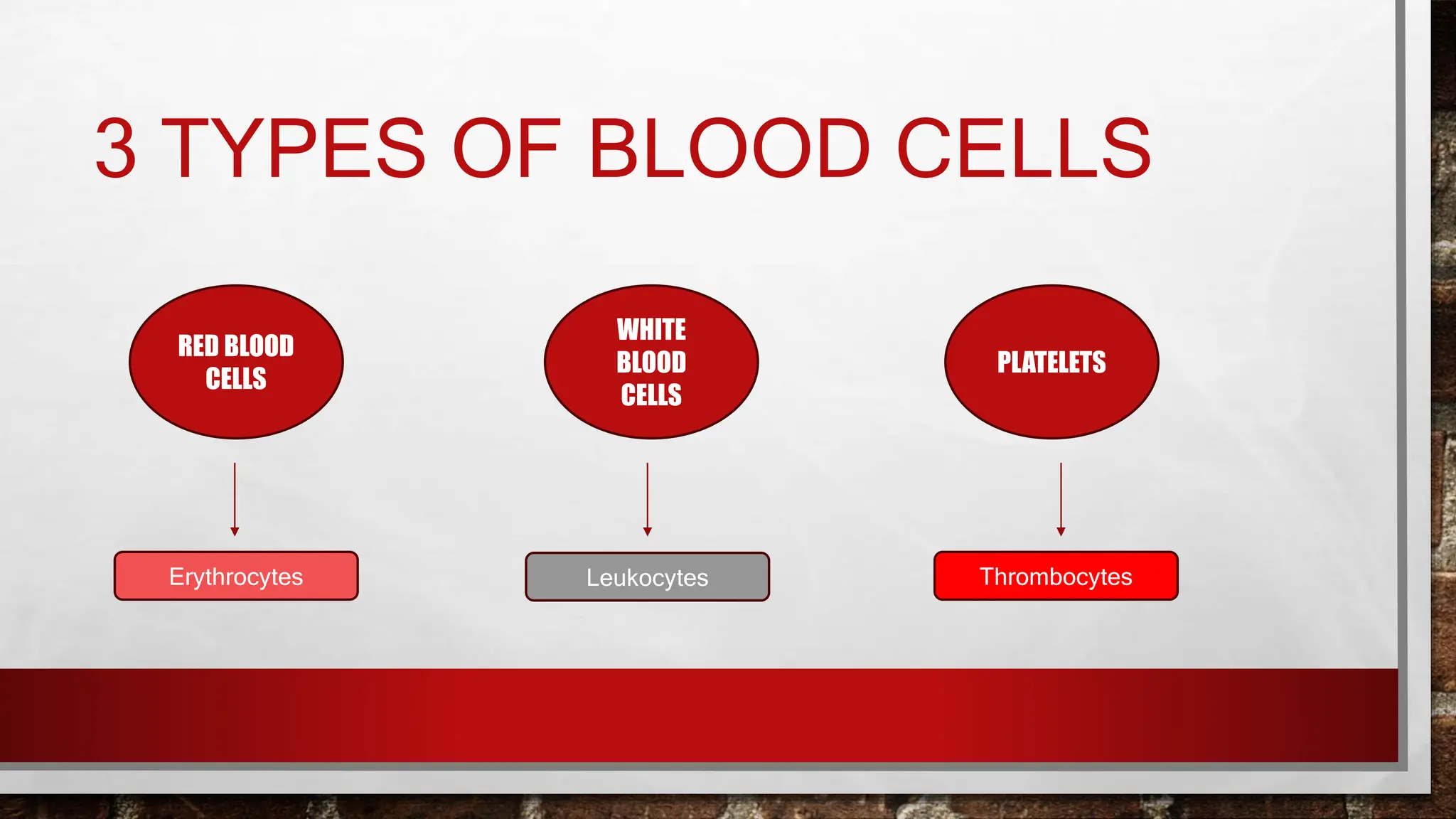 ANATOMY OF BLOOD- RBCs, WBCs & Platelet | PPTX