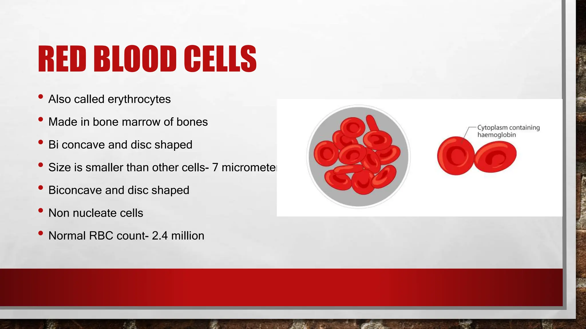 ANATOMY OF BLOOD- RBCs, WBCs & Platelet | PPTX