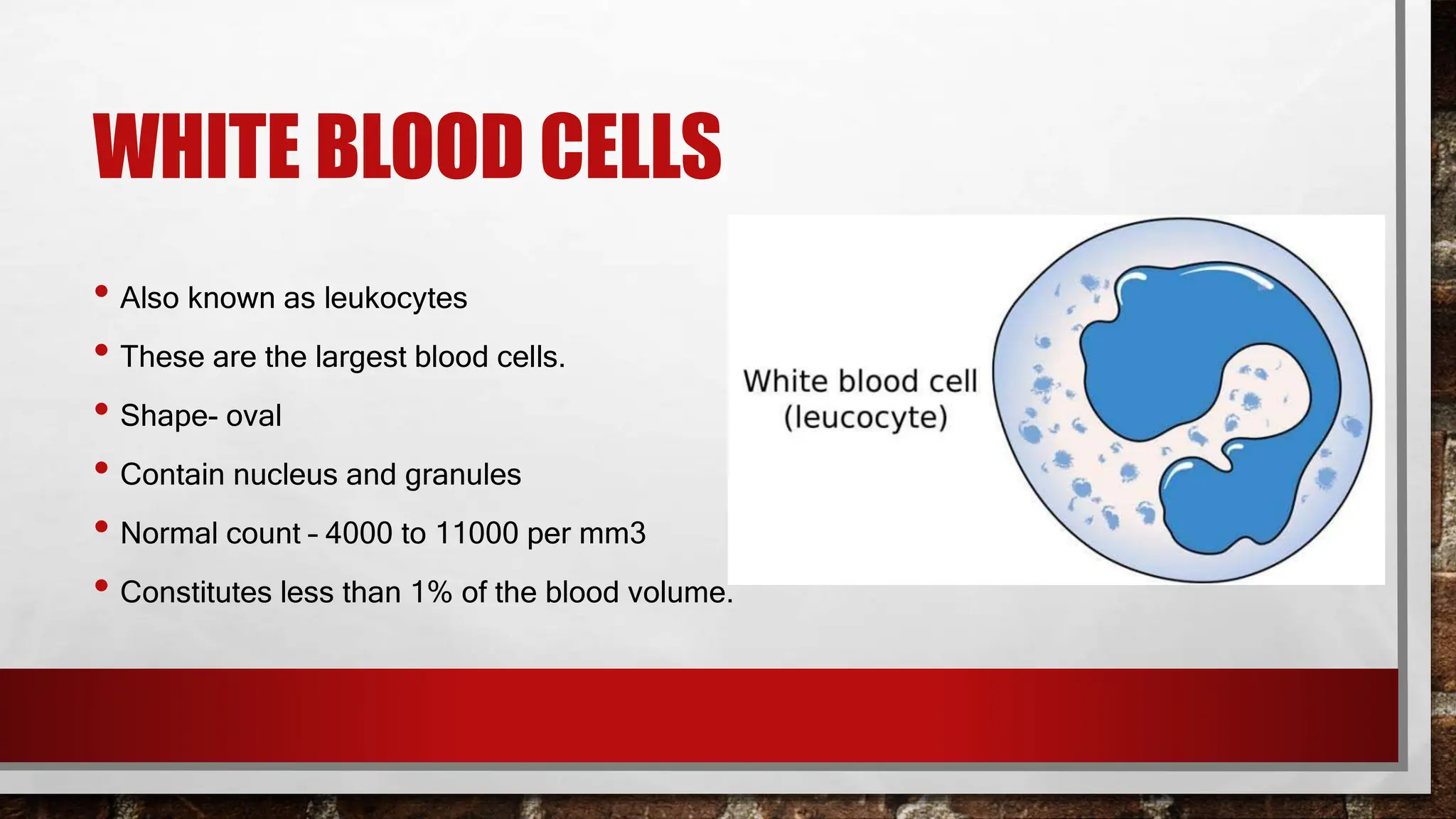 ANATOMY OF BLOOD- RBCs, WBCs & Platelet | PPTX