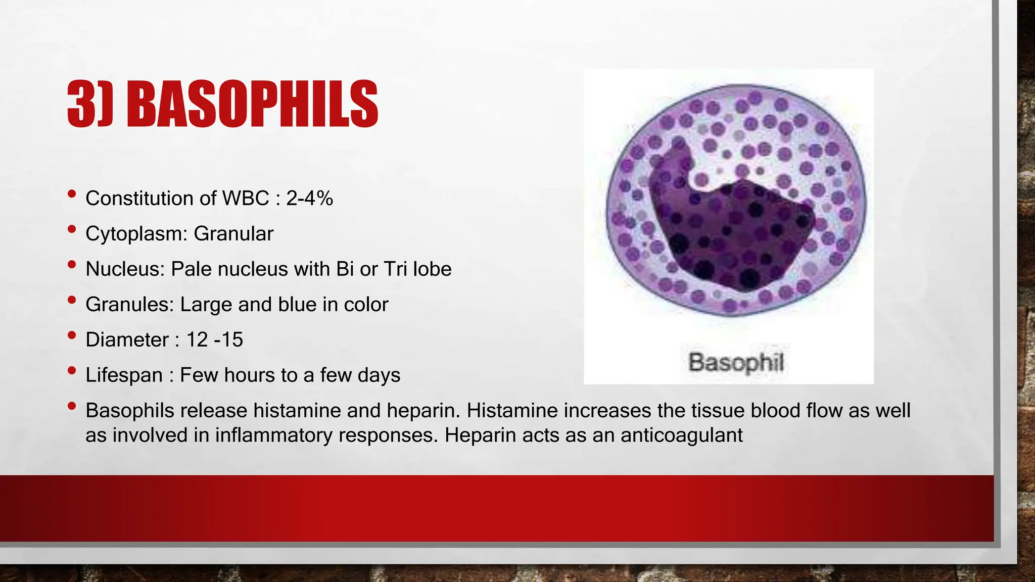 ANATOMY OF BLOOD- RBCs, WBCs & Platelet | PPTX | Blood Disorders | Diseases and Conditions