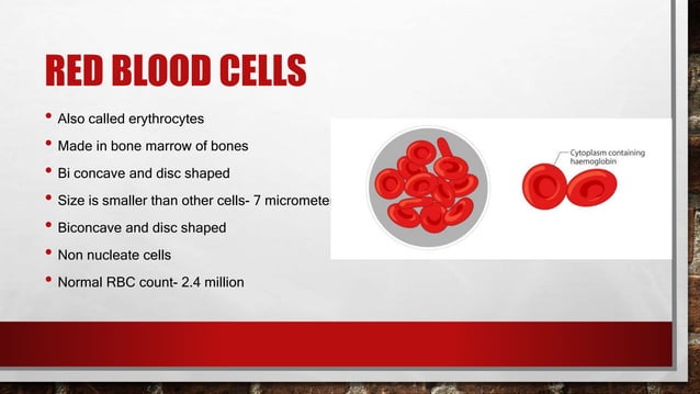 ANATOMY OF BLOOD- RBCs, WBCs & Platelet | PPT