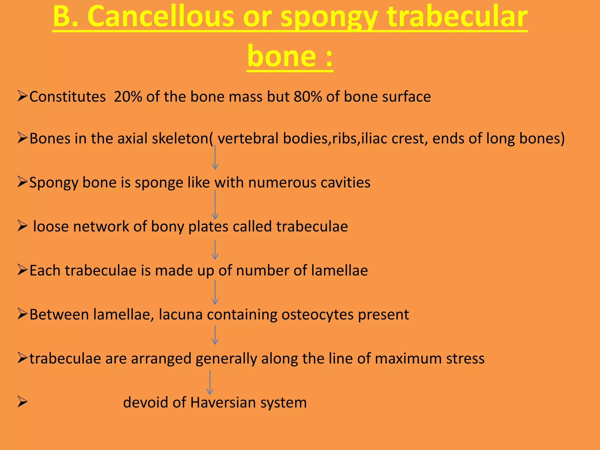Anatomy of bone..latest | PPTX