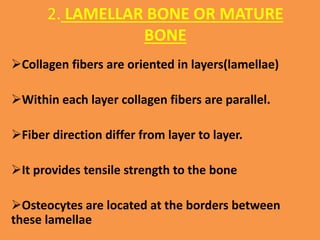 Anatomy of bone..latest | PPTX