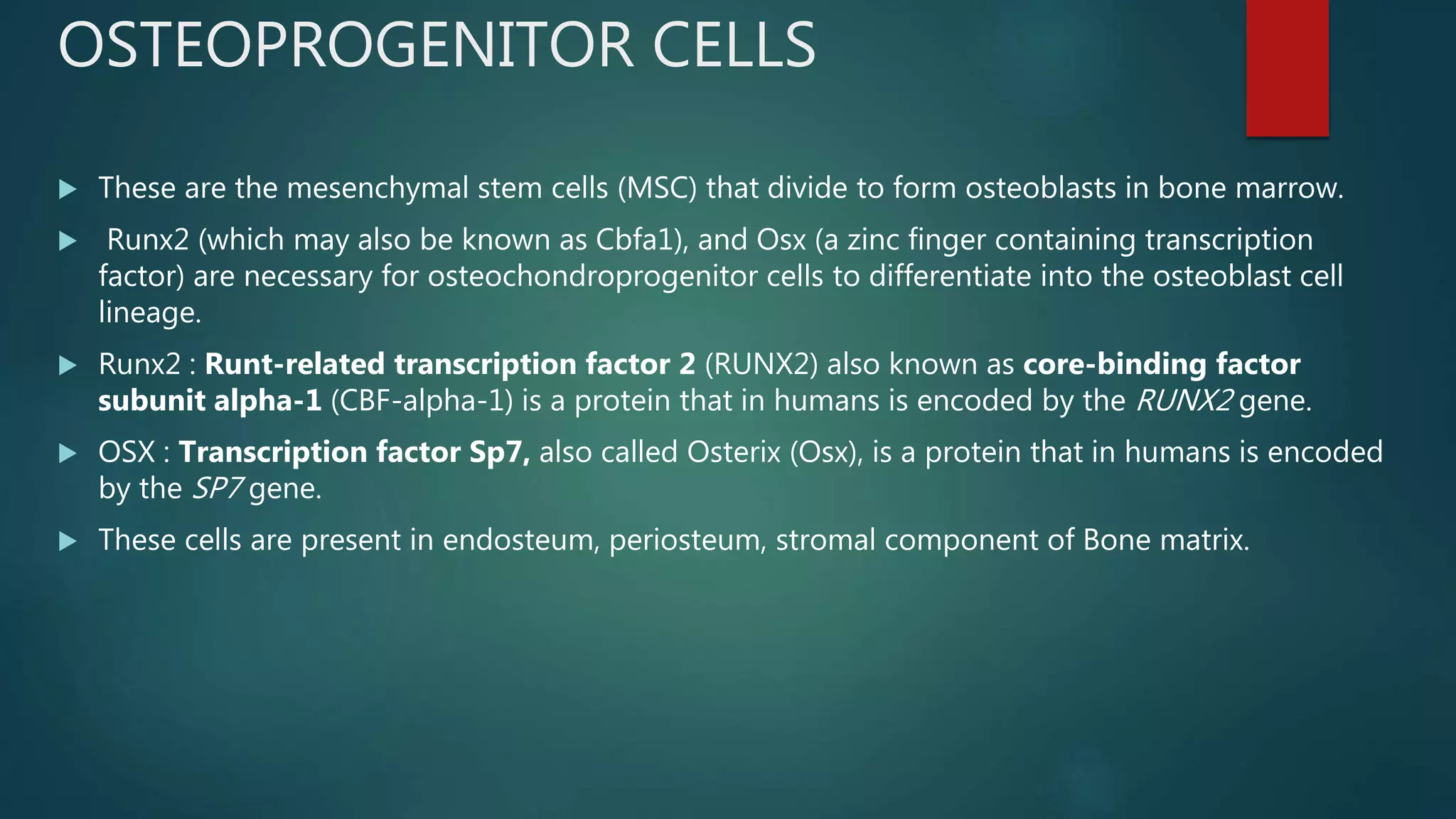 Anatomy of bones | PDF