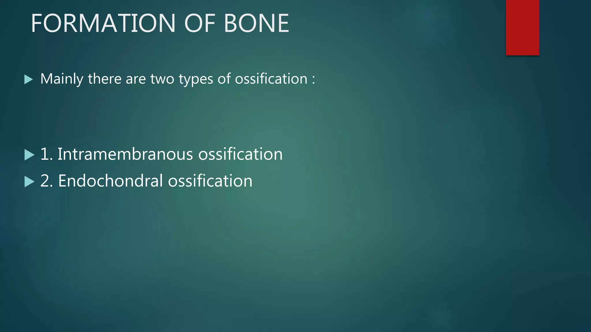 Anatomy of bones | PDF