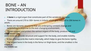 anatomyofbone-180423101522-181223174359 (1).pptx