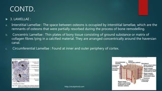 "Anatomy and Physiology of Bone"- Sheersha Pramanik | PPTX