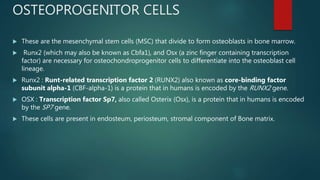 "Anatomy and Physiology of Bone"- Sheersha Pramanik | PPTX