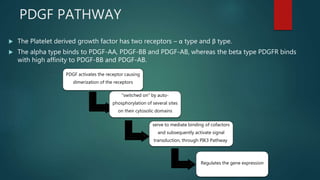 "Anatomy and Physiology of Bone"- Sheersha Pramanik | PPTX
