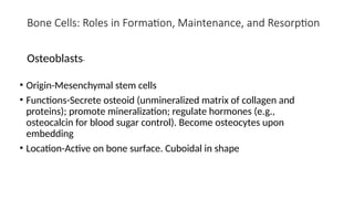 ANATOMY OF BONE , types of bone , blood supply of bone | PPTX