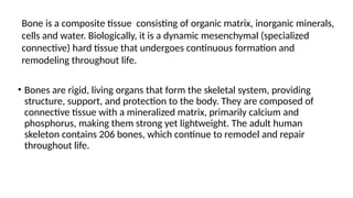 ANATOMY OF BONE , types of bone , blood supply of bone | PPTX