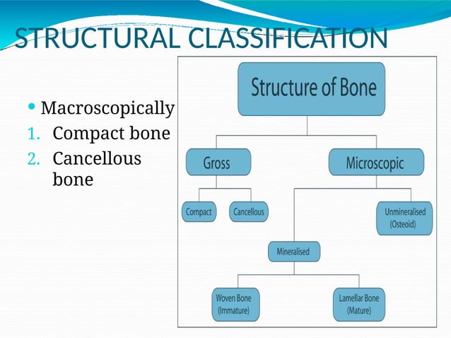 Anatomy Of Bone and CarDFGFHGJKL;JHtilage.pptx