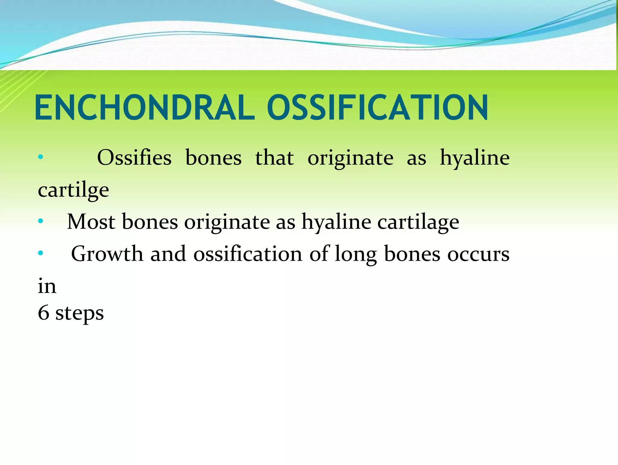 Anatomy And Physiology of cartilage | PPT