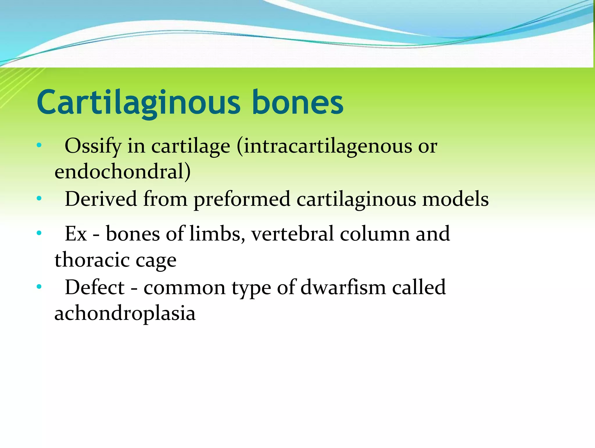 Anatomy And Physiology of cartilage | PPT | Death, Injury, or Military Conflict | Sensitive Topics