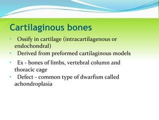 Anatomy And Physiology of cartilage | PPT