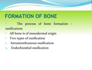 Anatomy And Physiology of cartilage | PPT
